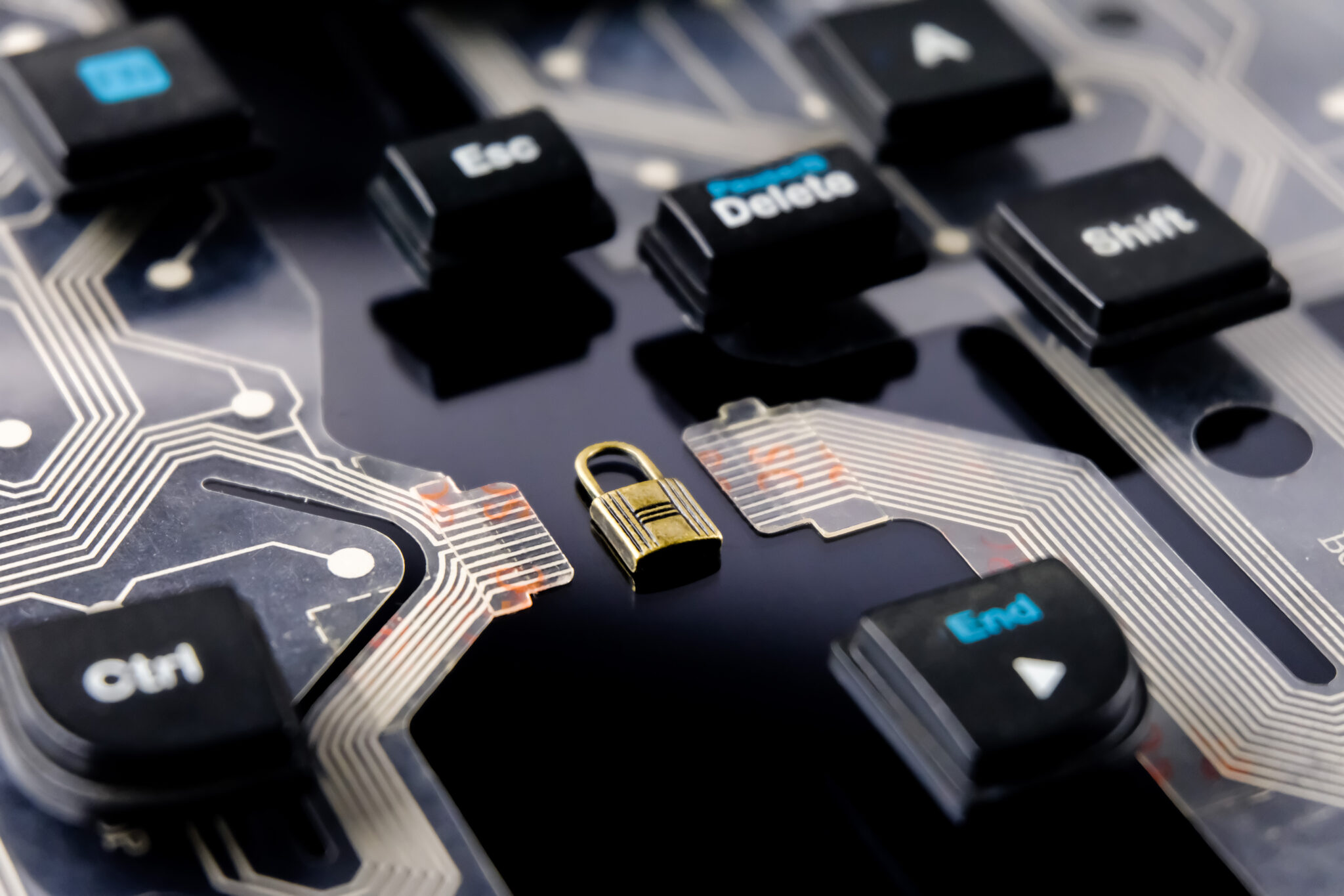 Penetration Test Vs Vulnerability Scan Penetration Test Vs Vulnerability Scan